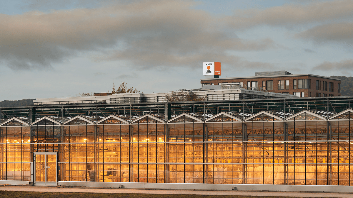 Aktuelle Jobs bei KWS Group | jobvector