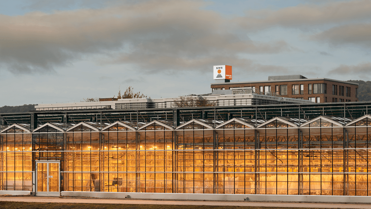 KWS Group Jobs & Karriere